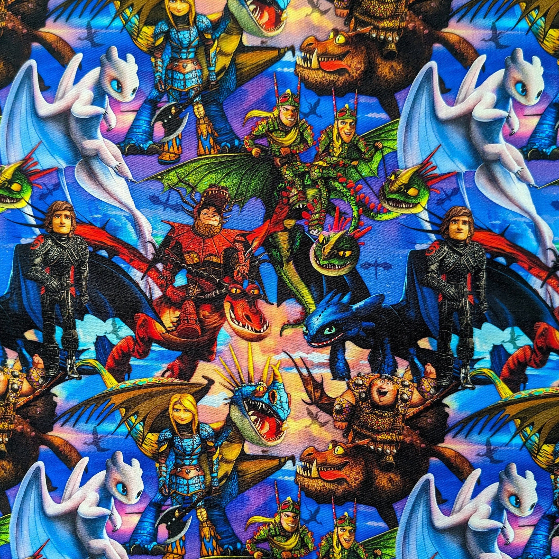 Toothless How to Train Your Dragon Bearded Dragon Hammock - Etsy