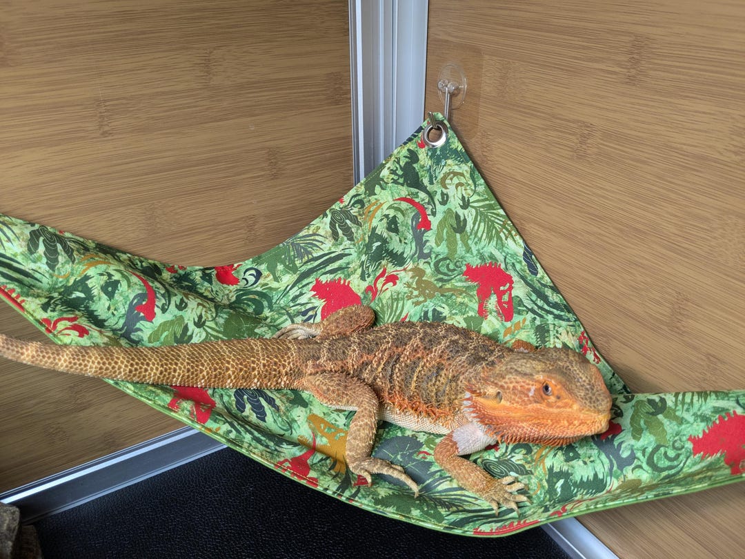 Jurassic Dinosaur Park Bearded Dragon Hammock (multiple Designs ...