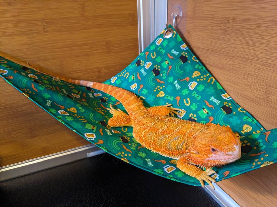St. Patrick's Day Bearded Dragon Hammock Shamrock Reptile Hammock - Etsy