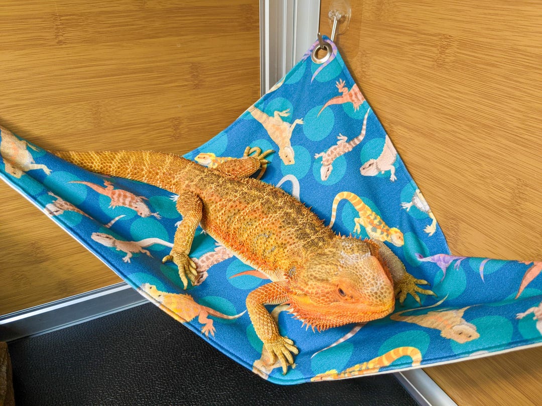 Bearded Dragon Hammock Beardie Hammock Tank Decor - Etsy