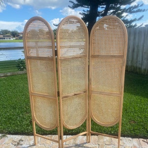 Natural Rattan Cane 3 Panel Folding Screen, Boho Room Divider, Party ...