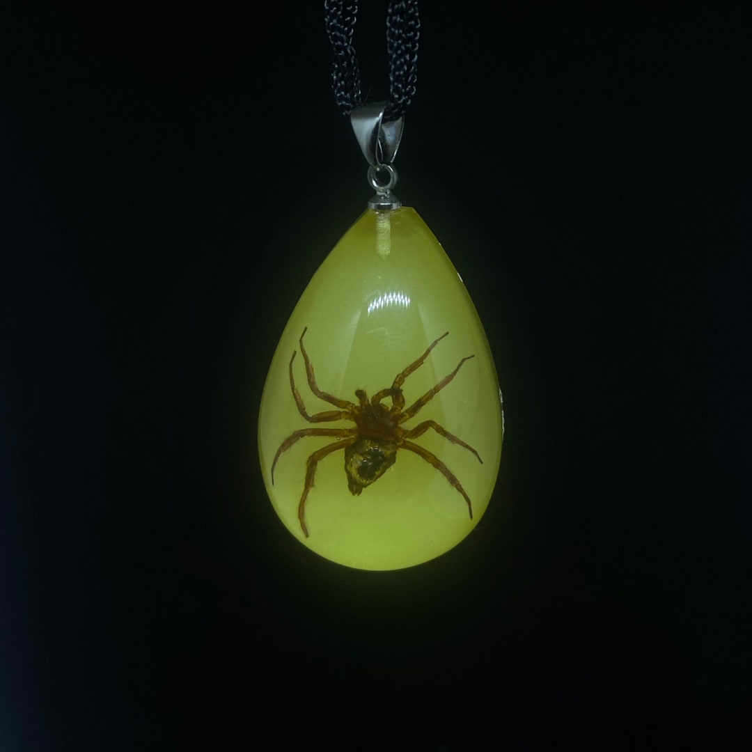 Glow-in-the-dark Bugs / Seahorses - Etsy