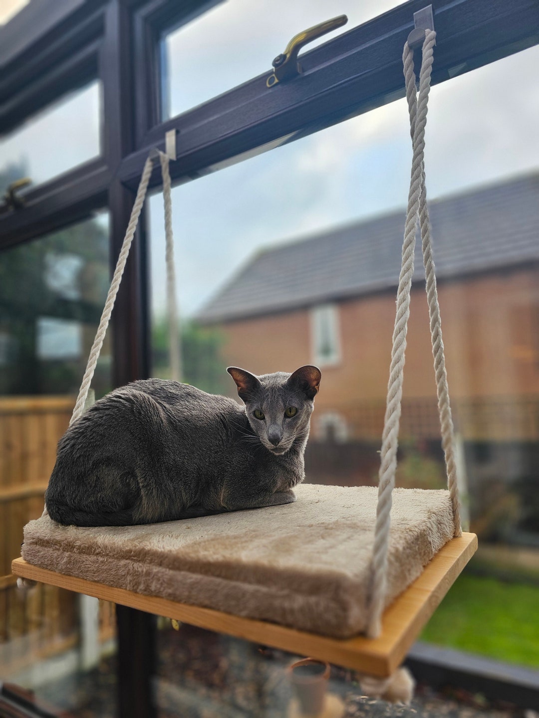 Cat Windows Shelf, Cat Window Shelf, Cat Window Bed From Natural Wood ...