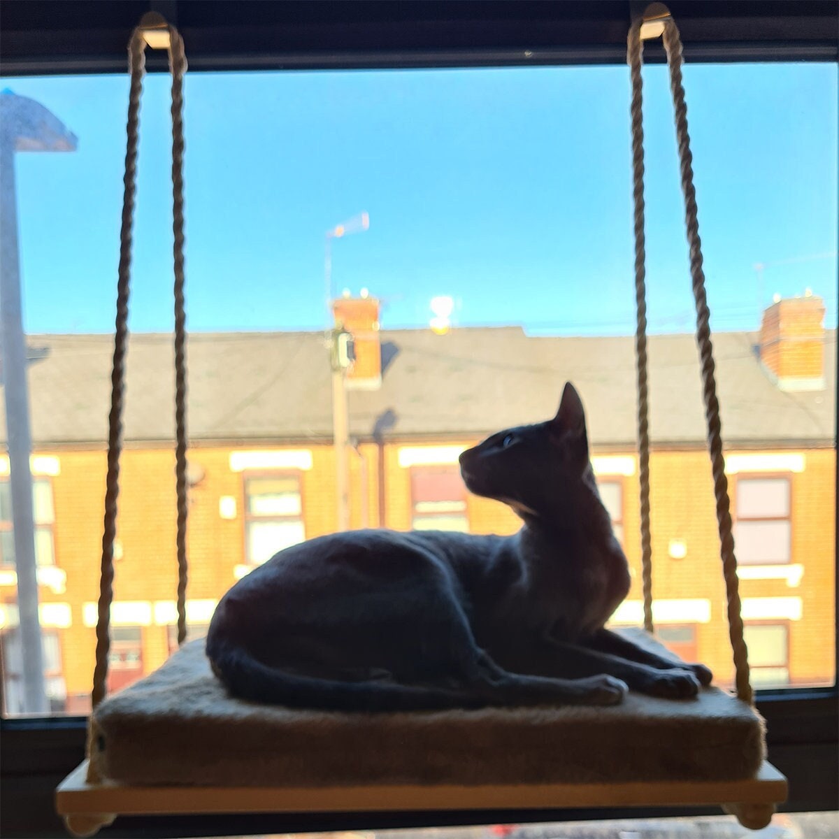 Cat Windows Shelf, Cat Window Shelf, Cat Window Bed From Natural Wood ...