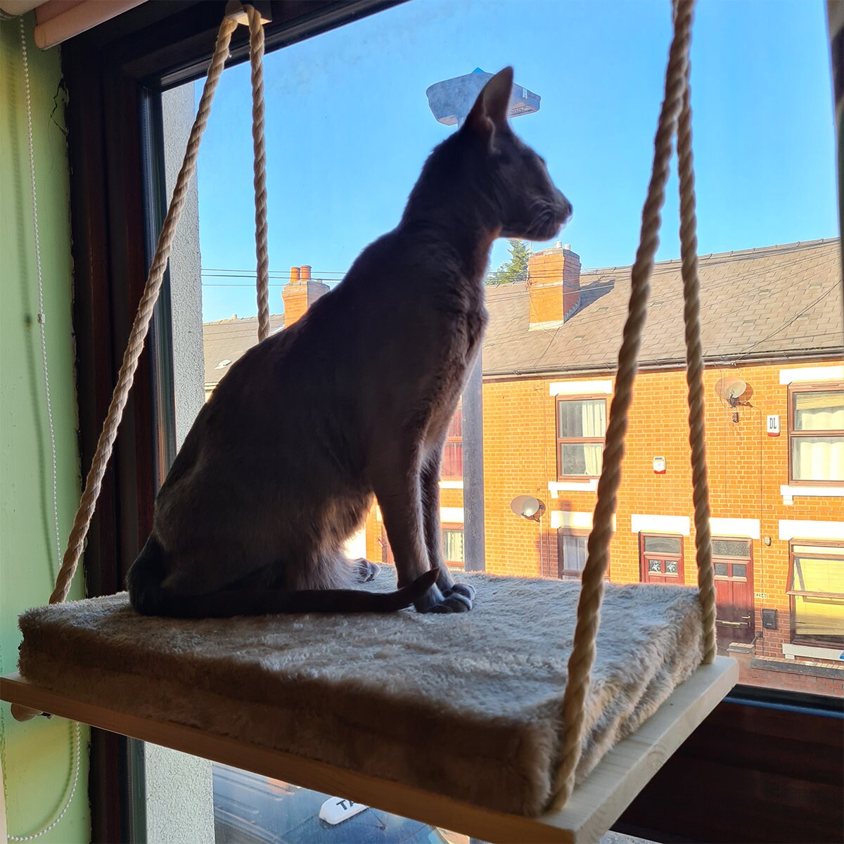 Cat Windows Shelf, Cat Window Shelf, Cat Window Bed From Natural Wood ...