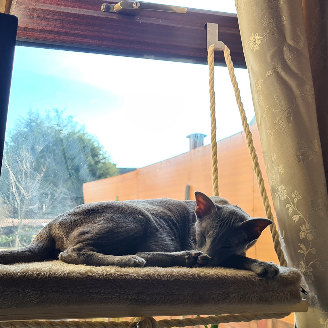 Cat Windows Shelf, Cat Window Shelf, Cat Window Bed From Natural Wood ...