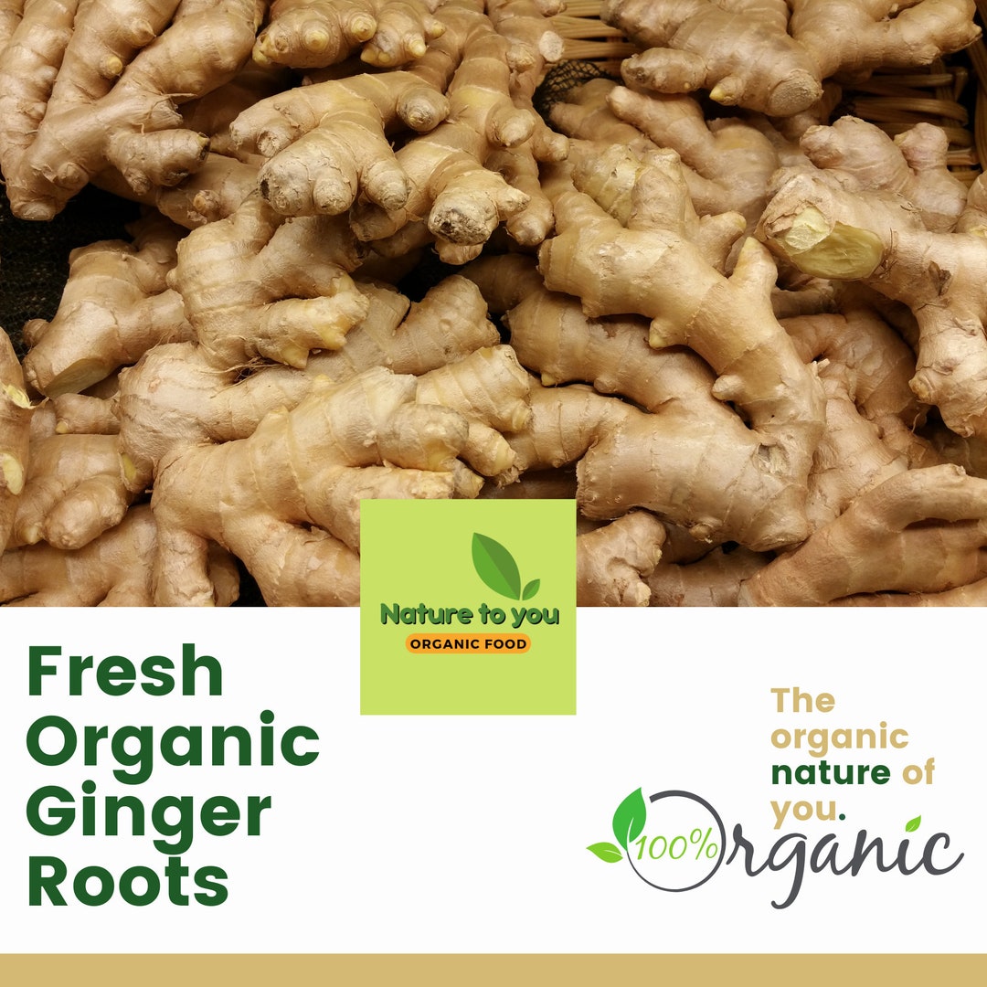 Fresh Organic Ginger | No GMO | 1lb - Etsy