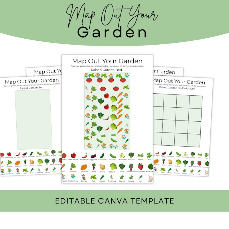 Container Garden Layout - Etsy