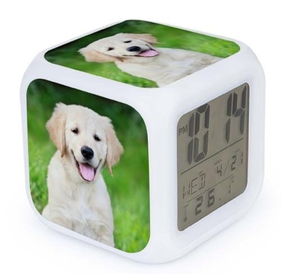 Personalised Pet LED Alarm Cube Clock, Light up Clock. 7 Differently ...