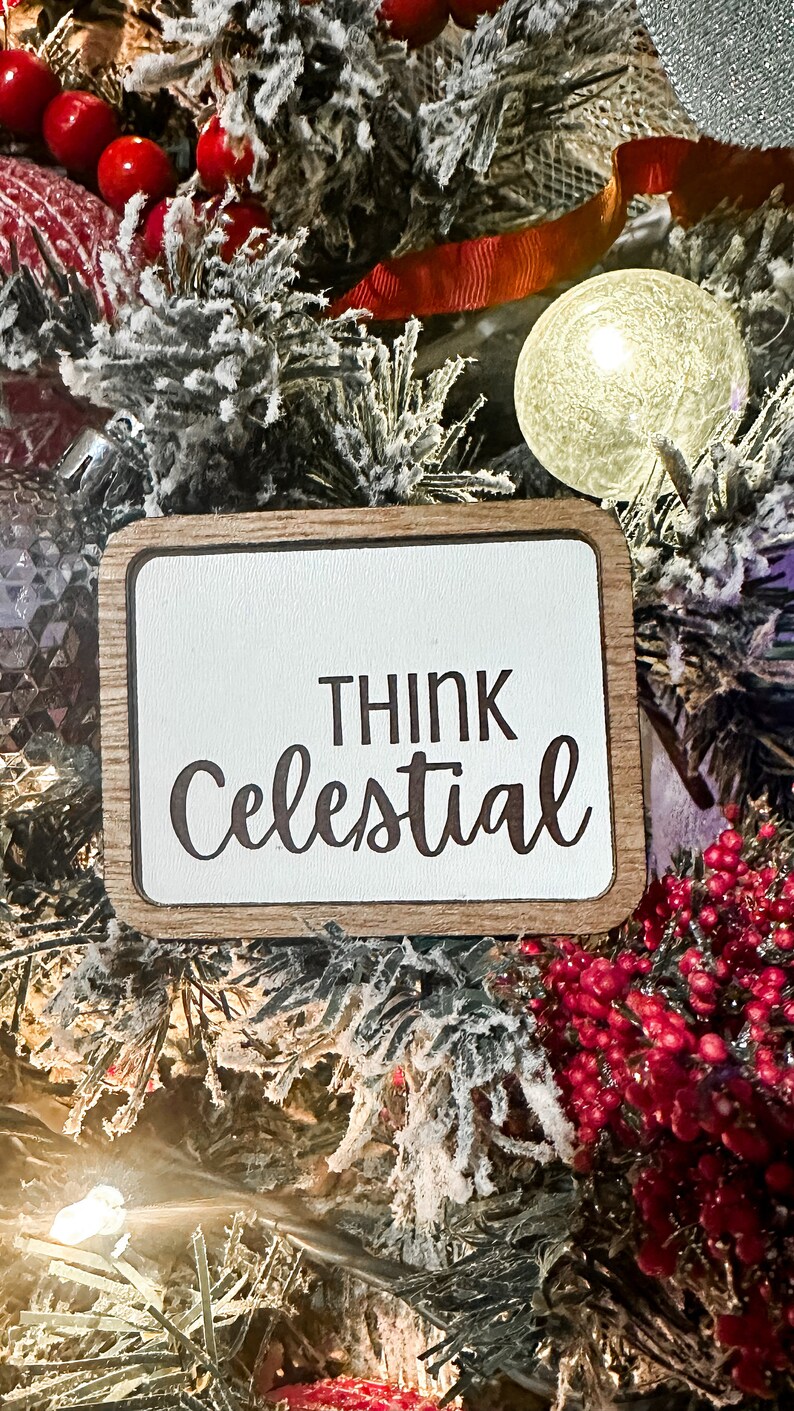 Bulk Order/think Celestial Ornament/ Think Celestial Magnet/relief ...