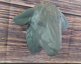 Sheep/ewe/ram Resin Plastic Head/bust/faux Taxidermy/cabochon for ...