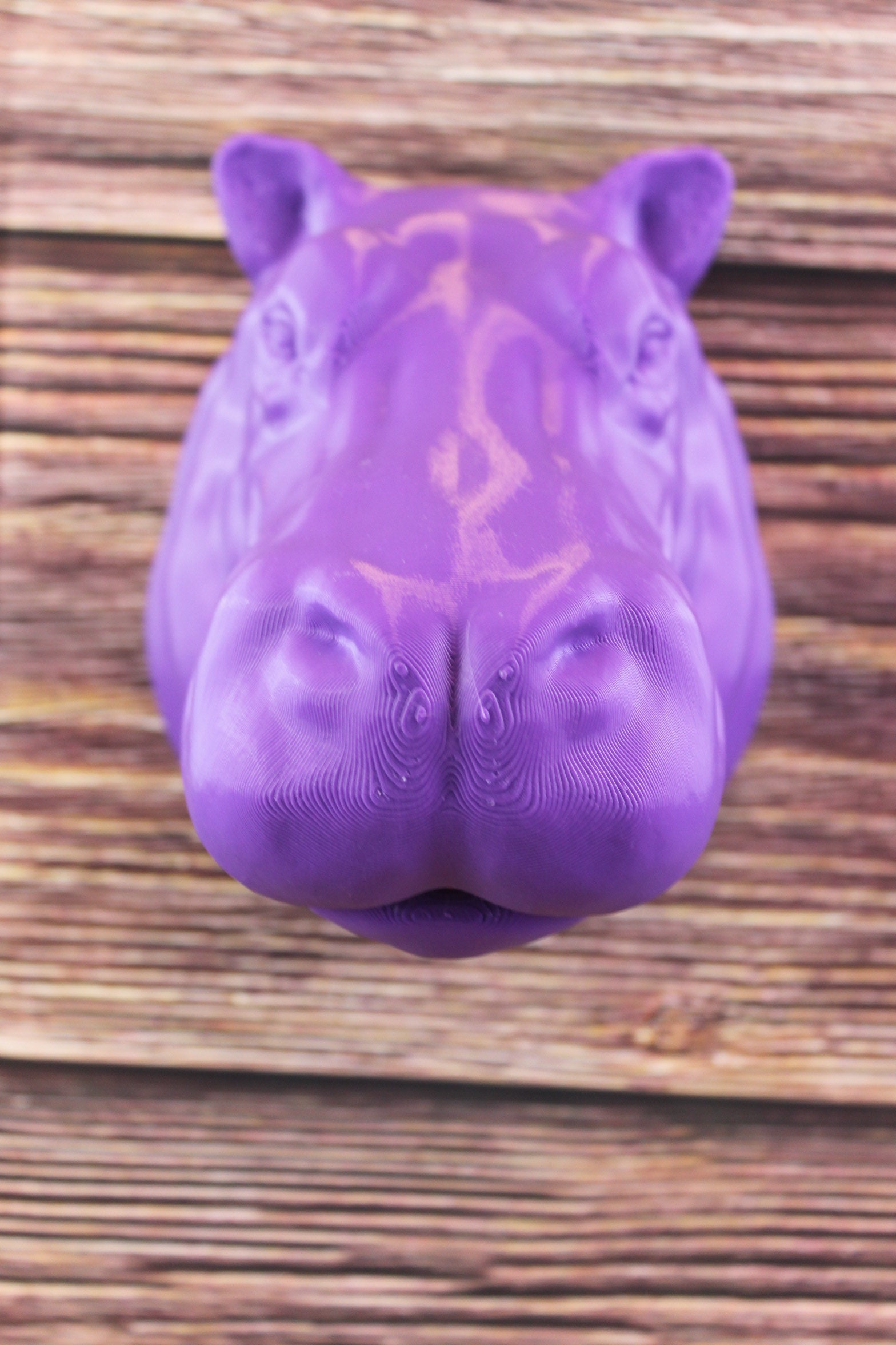 MEDIUM Hippo Wall Hanging Art Decoration Display Piece - Etsy