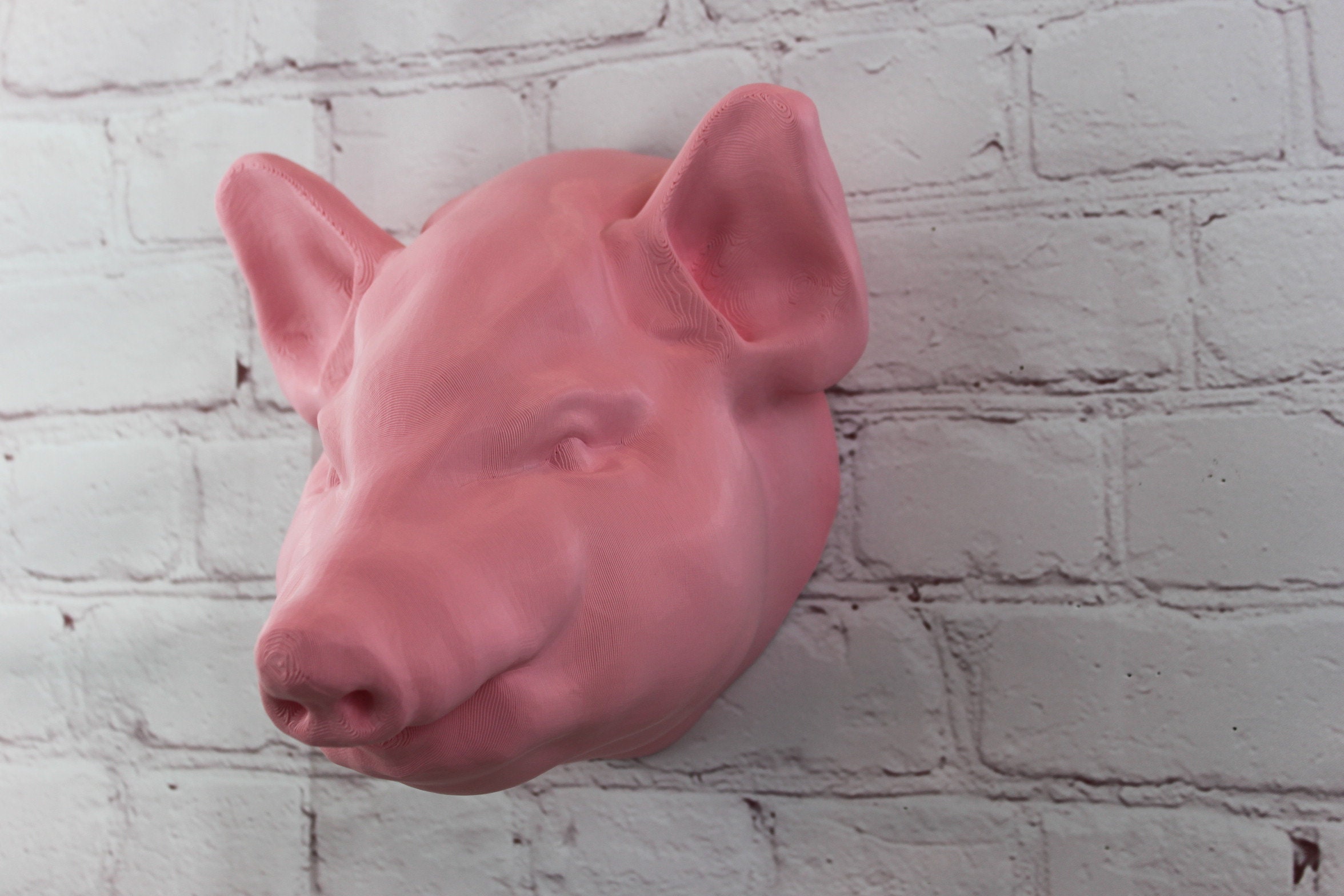 3D Printed Pig Head Wall Hanging Decor - Etsy