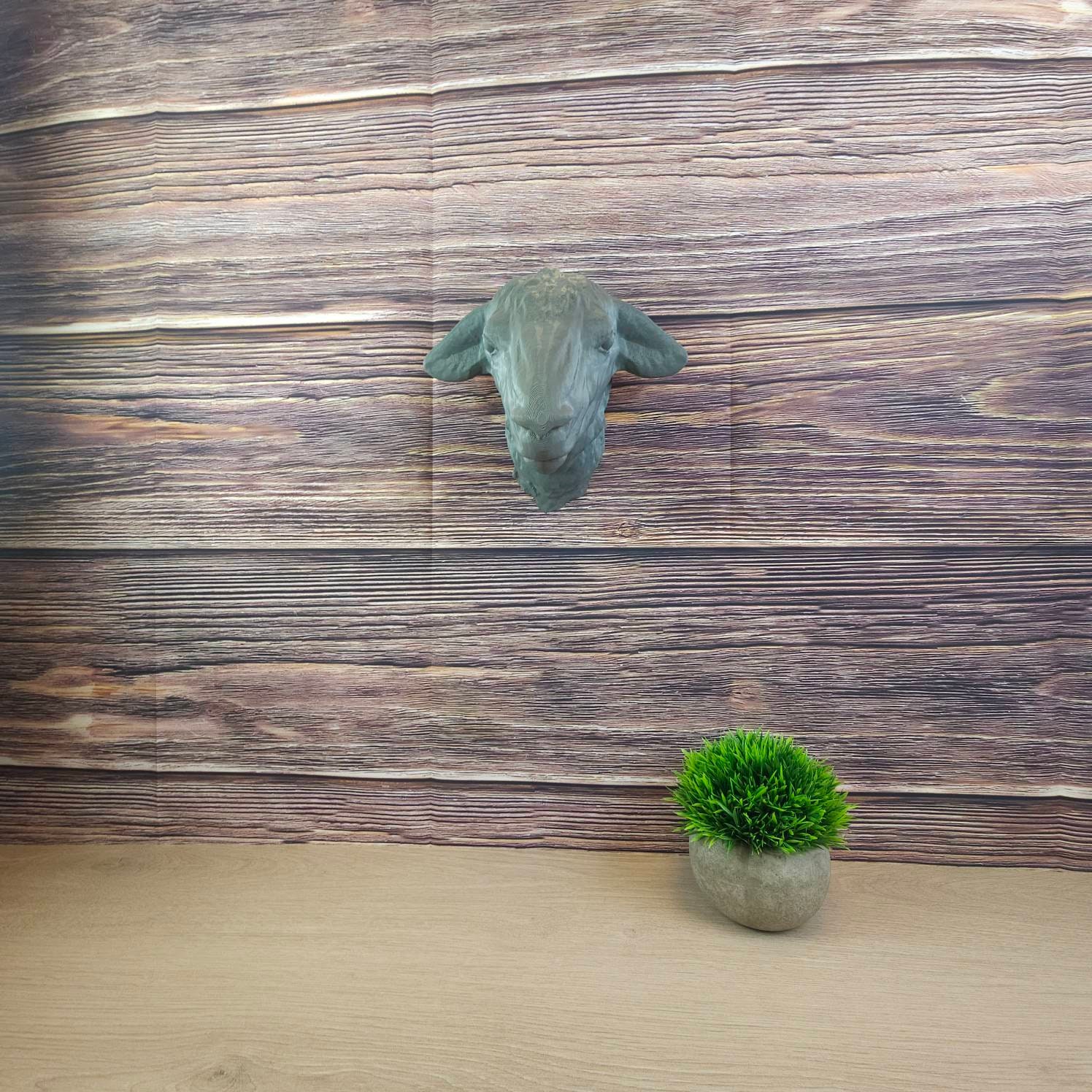 Sheep Wall Hanging Bust Sheared Sheep Decoration - Etsy