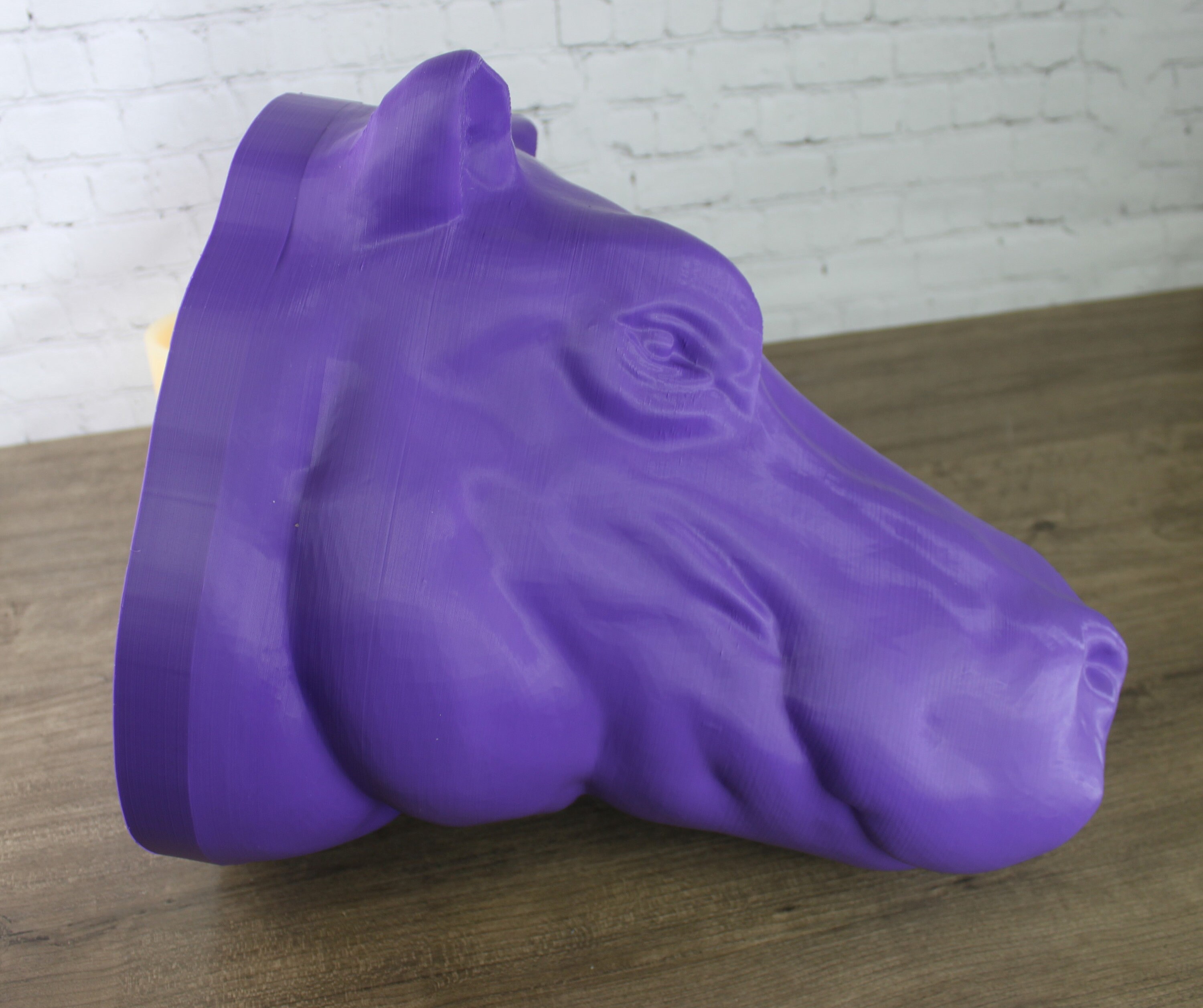 LARGE Hippo Wall Head Modern Decor - Etsy