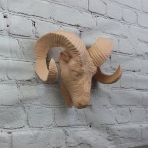 MEDIUM Detailed Ram Wall Head Modern Decor - Etsy