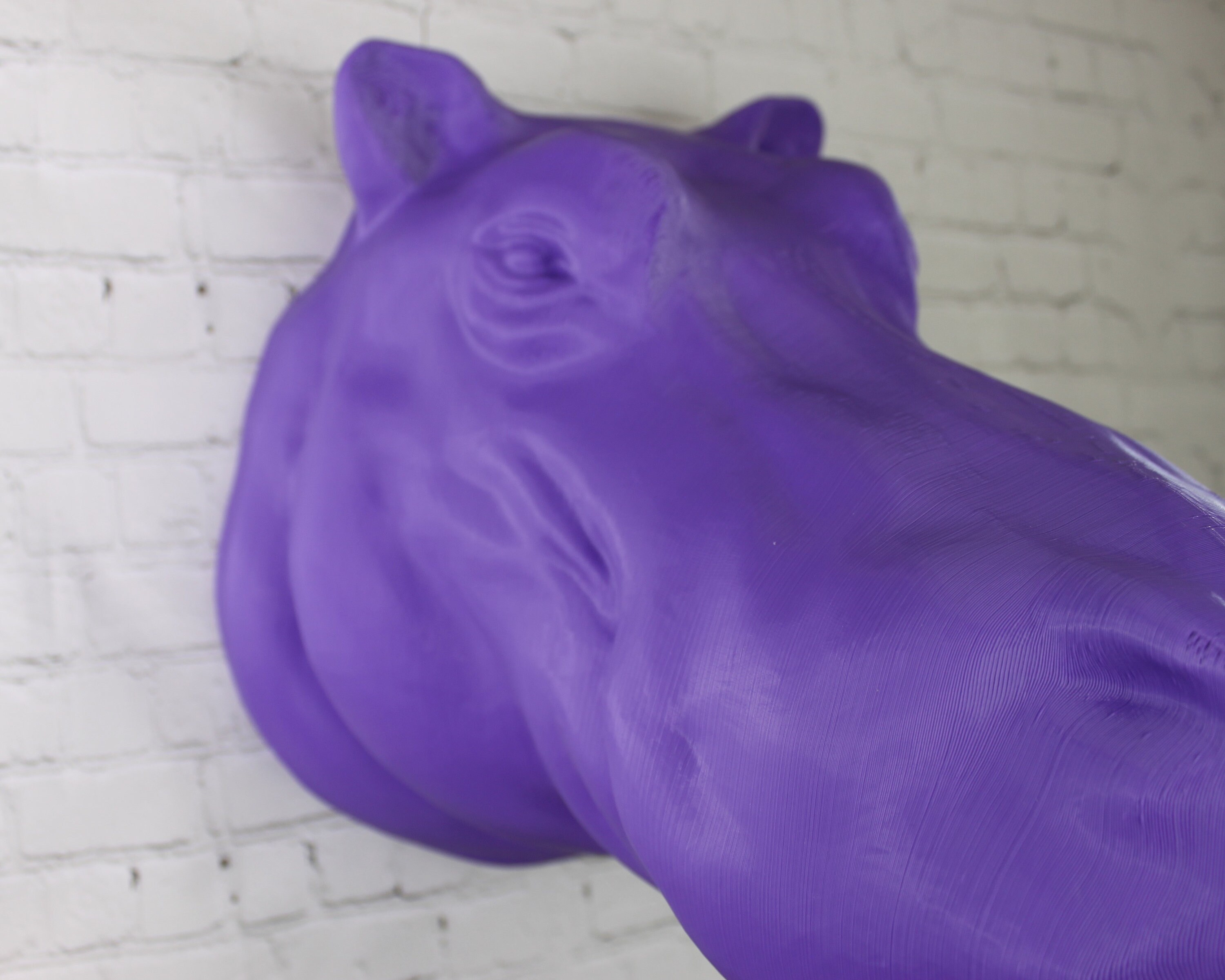 LARGE Hippo Wall Head Modern Decor - Etsy