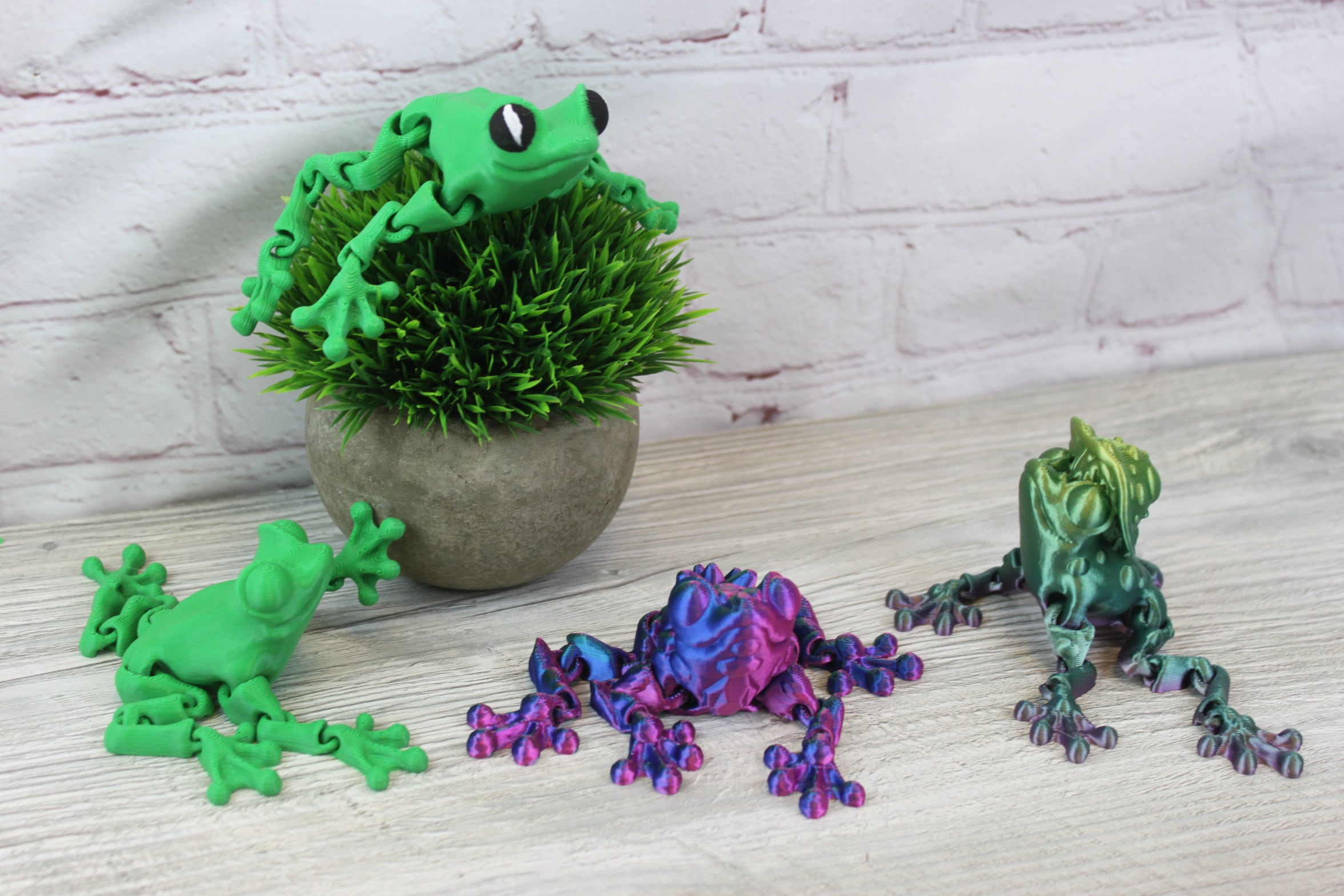 Friendly Amphibian Frogs - Etsy