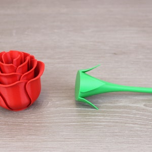Forever Roses 3D Printed With Custom Colors - Etsy