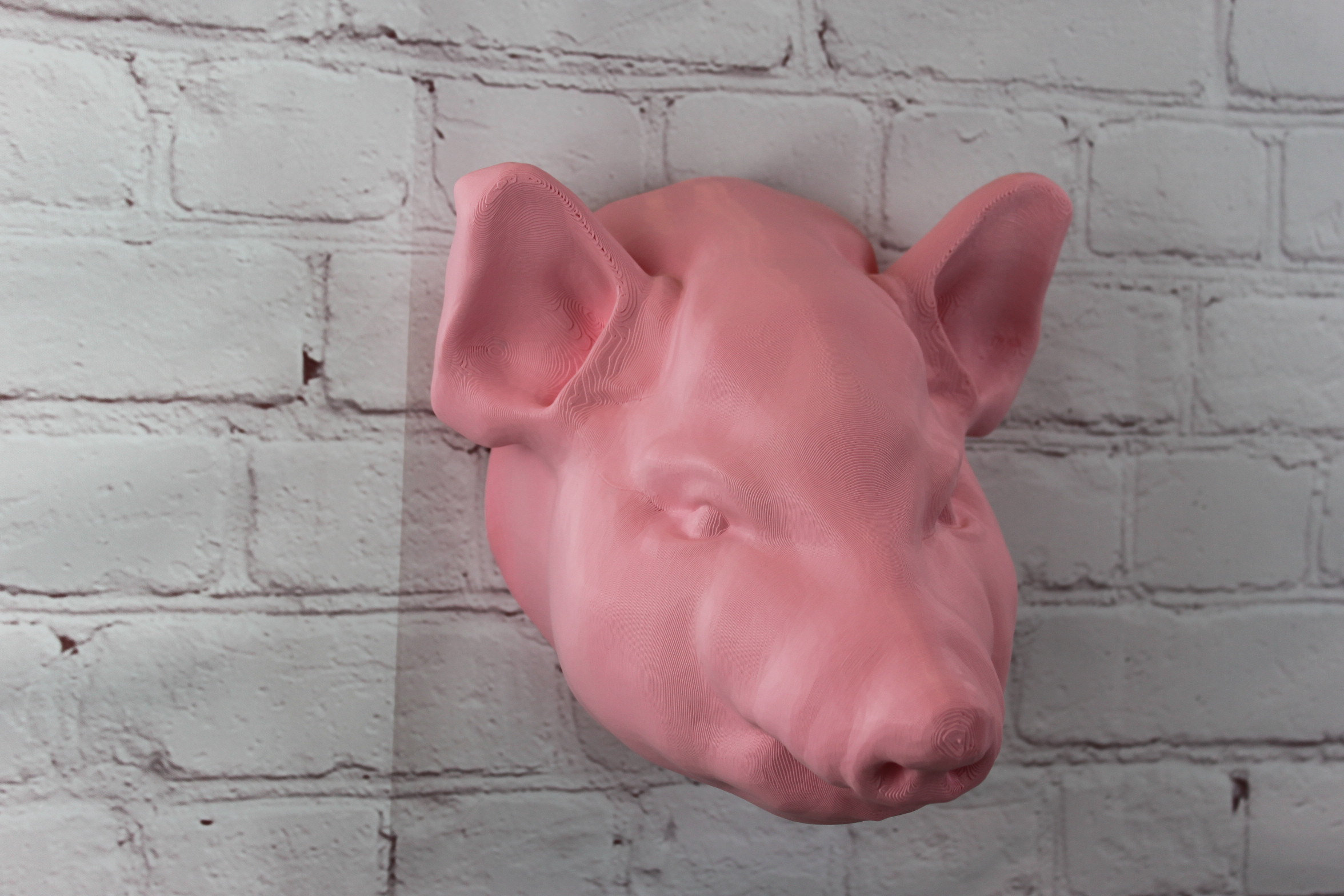 3D Printed Pig Head Wall Hanging Decor - Etsy