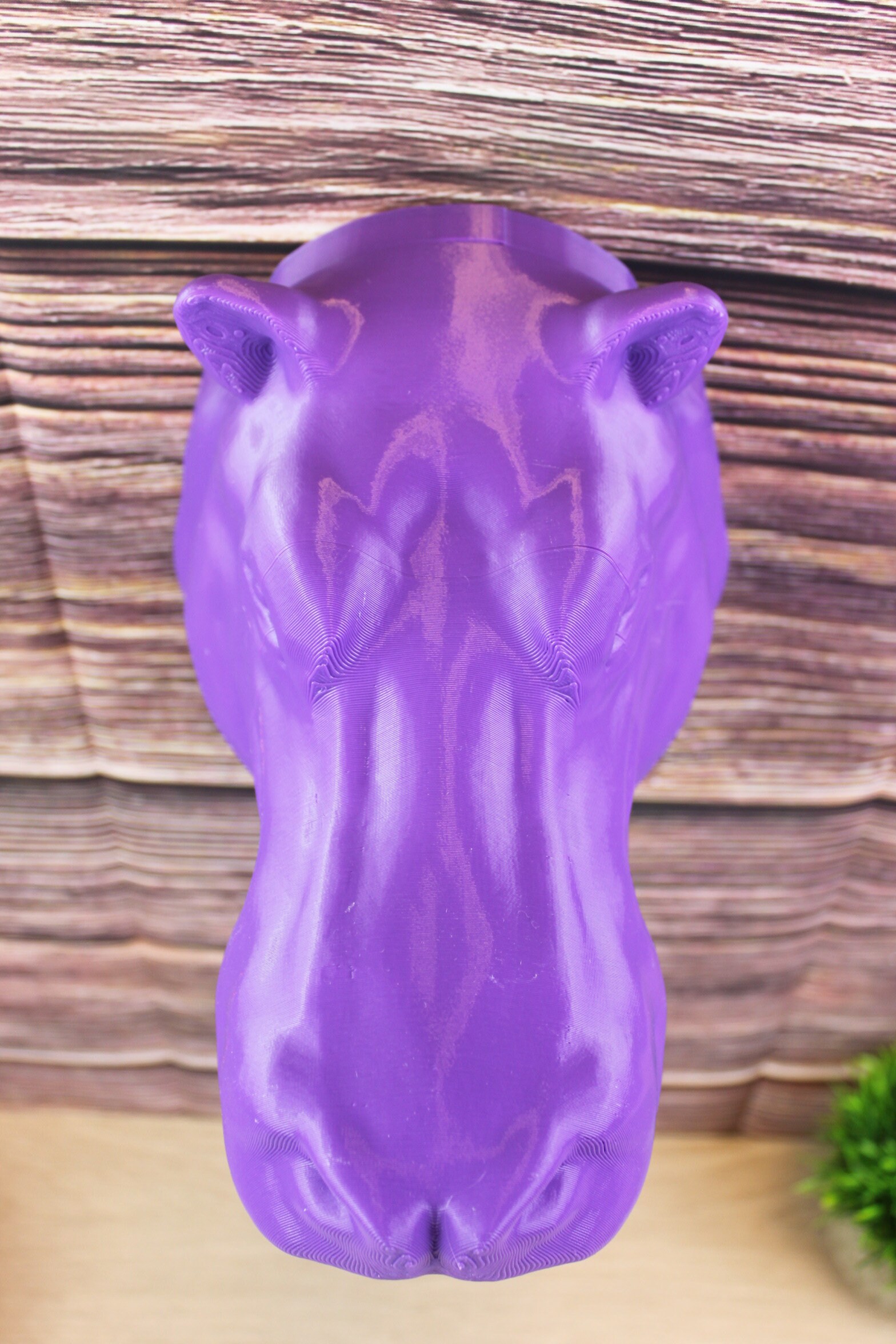 MEDIUM Hippo Wall Hanging Art Decoration Display Piece - Etsy