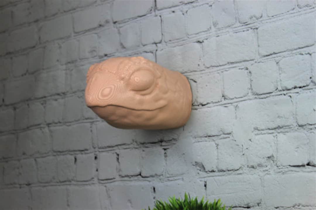 Detailed Sea Turtle Wall Head Modern Decor - Etsy