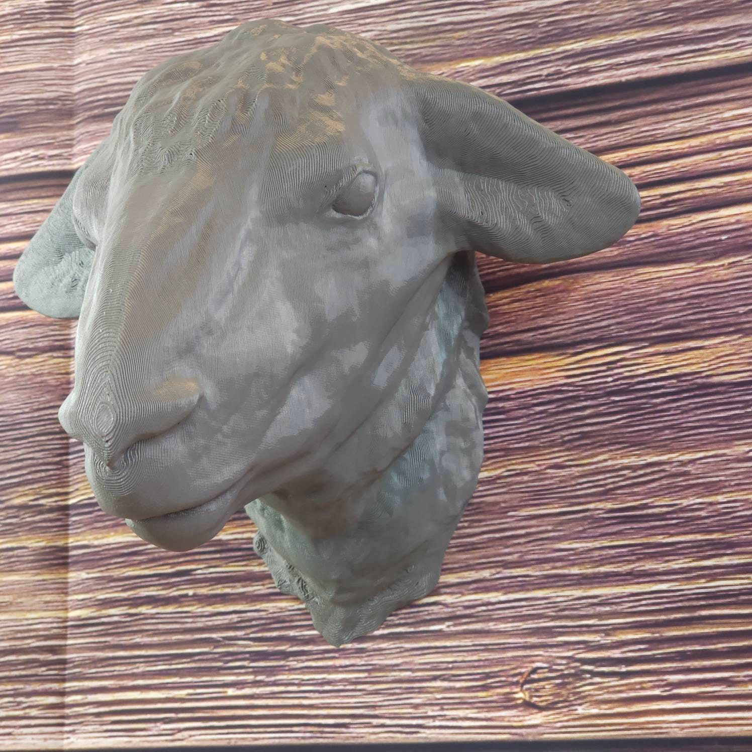 Sheep Wall Hanging Bust - Sheared Sheep Decoration - Etsy