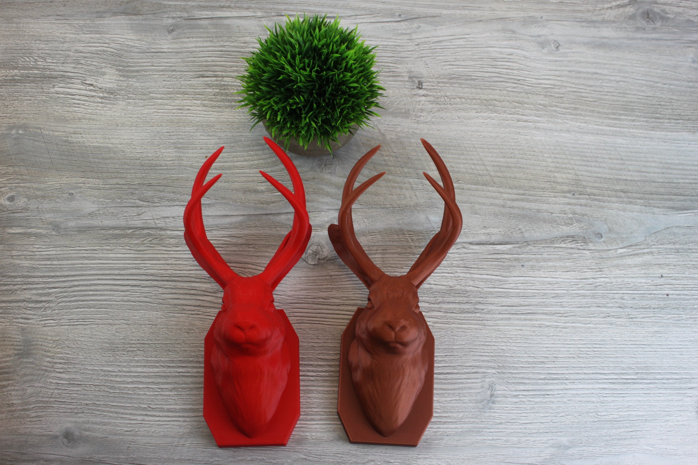 Detailed Jackalope Wall Head Home Decor - Etsy