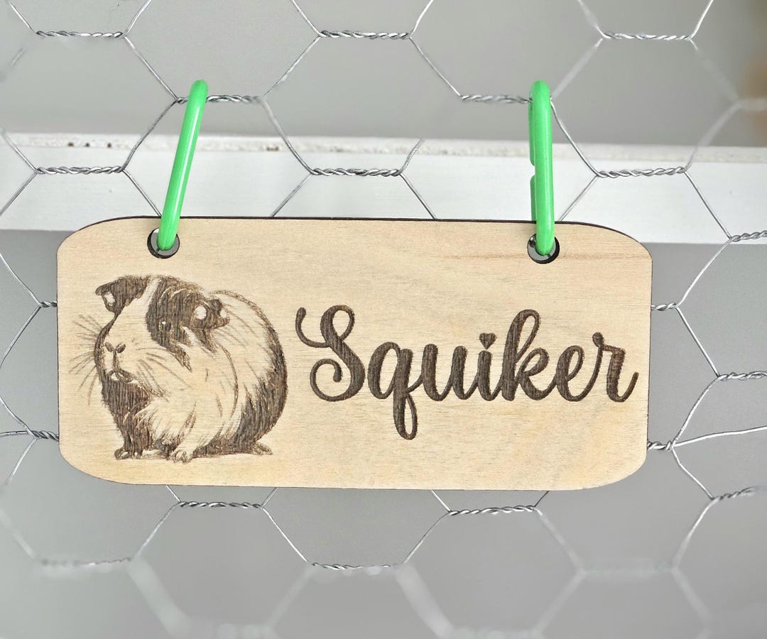 Guinea Pig Cage Name Sign, Guinea Pig Cage Accessory, Guinea Pig Cage ...