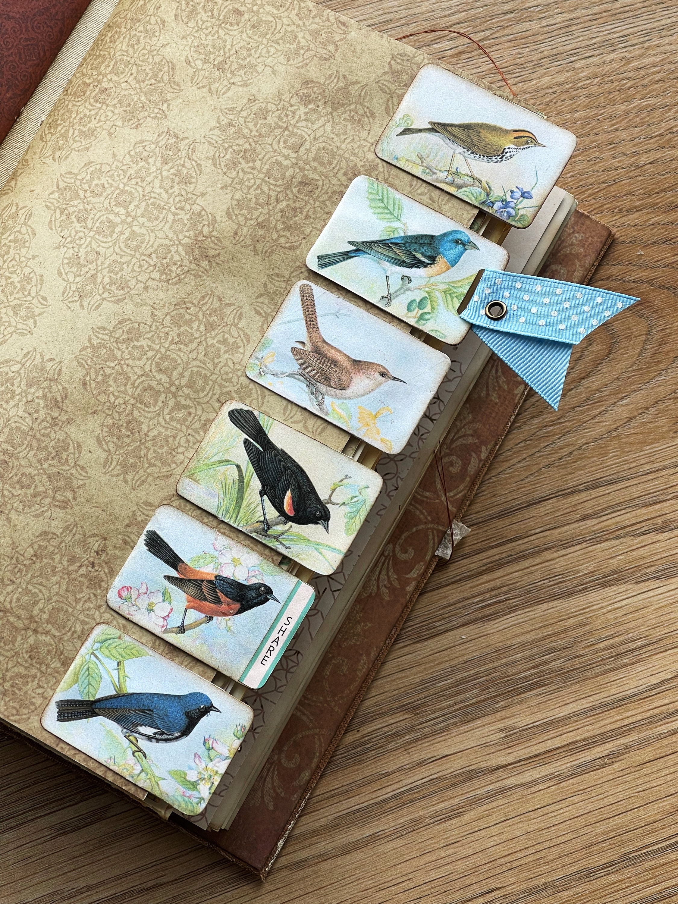Best Bird Hidden Paper Clips and Removable Tabs for Journals and ...