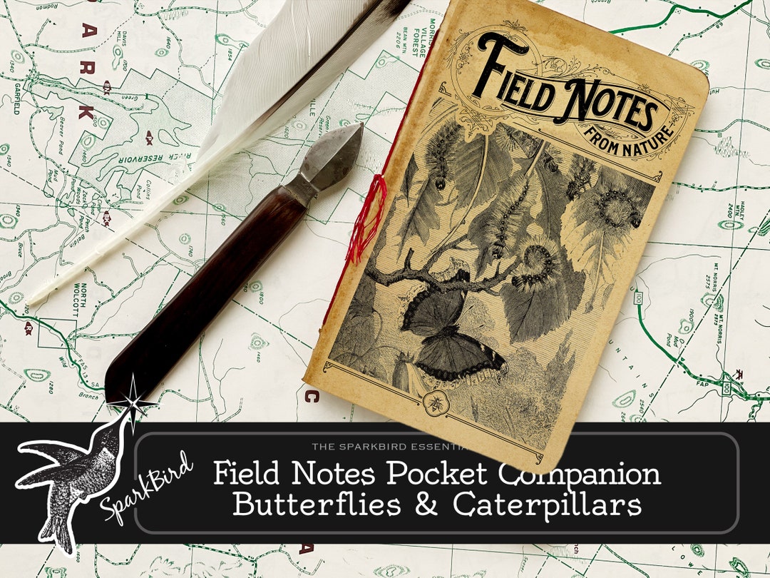 Field Notes Butterflies & Caterpillars Pocket Companion DIY Mini ...