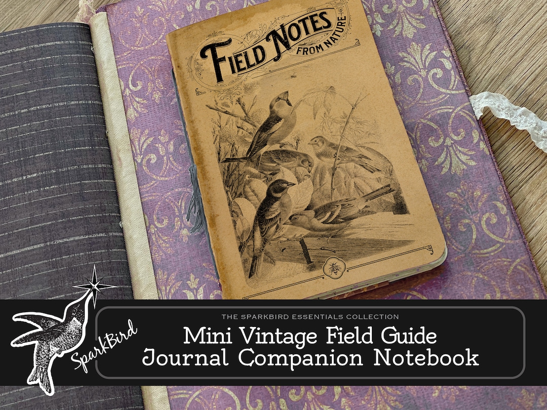 Vintage Field Notes Perfect Pocket Companion for Junk Journals and ...