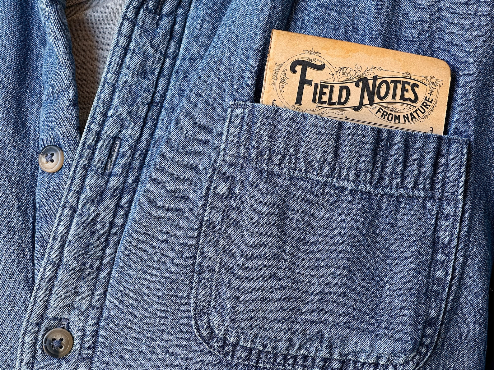 Vintage Field Notes Perfect Pocket Companion for Junk Journals and ...