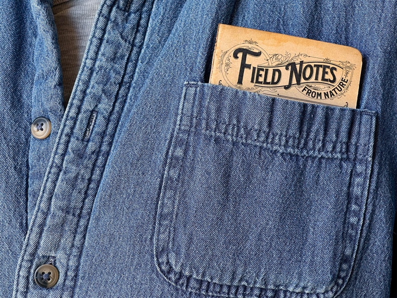 Vintage Field Notes Perfect Pocket Companion for Junk Journals and ...