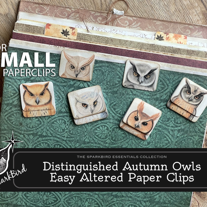 Regal Owl Paper Clip - Etsy New Zealand