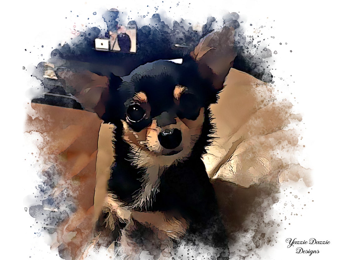 Custom Cartoon Pet Portraits - Etsy