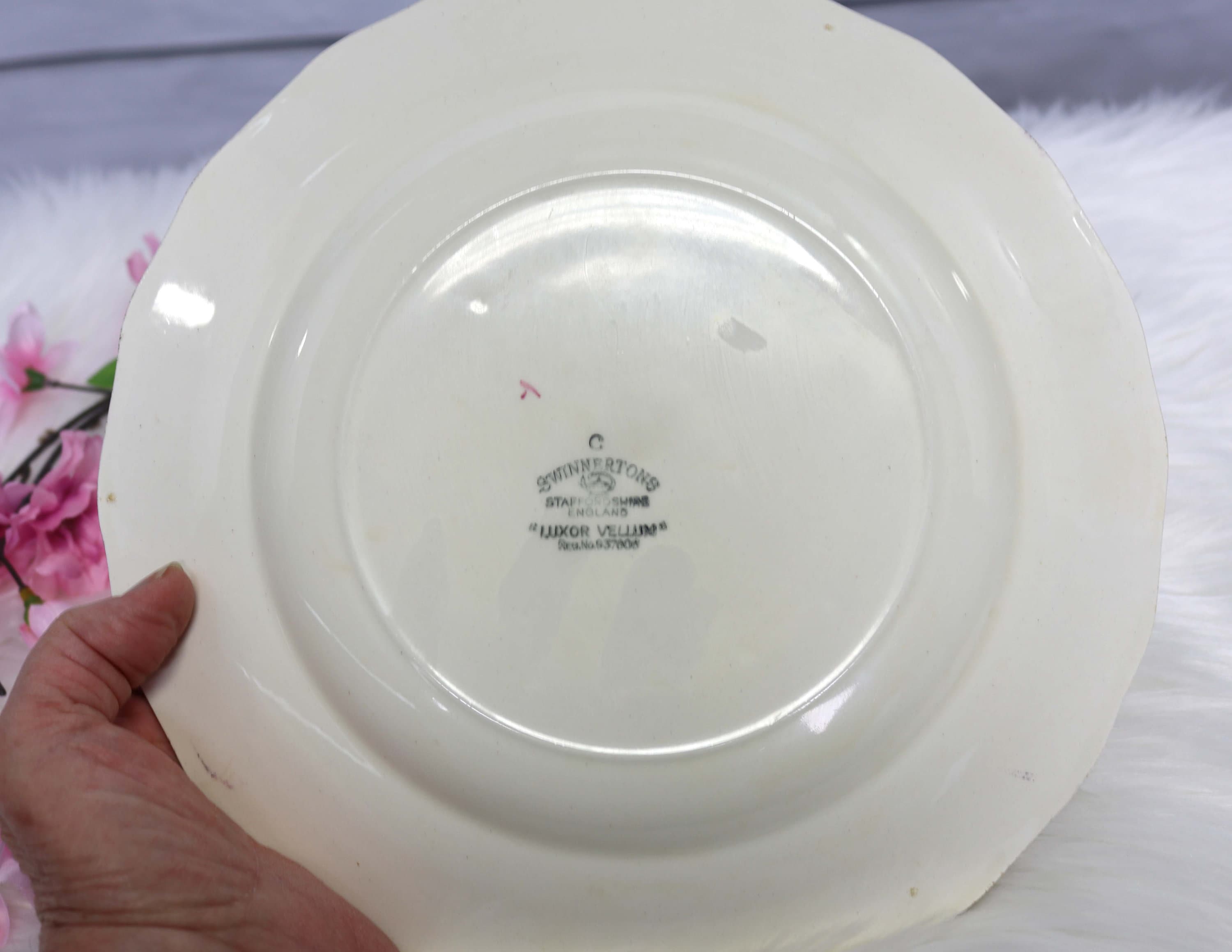 Swinnertons Staffordshire England Luxor Vellum Plate, Fine Bone China ...