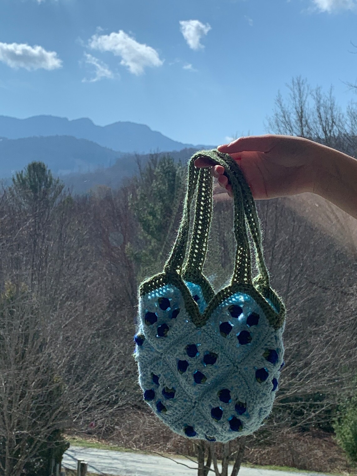Adorable Handmade Crocheted Small Blueberry Bag - Etsy