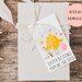 Printable Easter Chick Basket Tags | Easter Gift Tag | Easter Treat Bag ...
