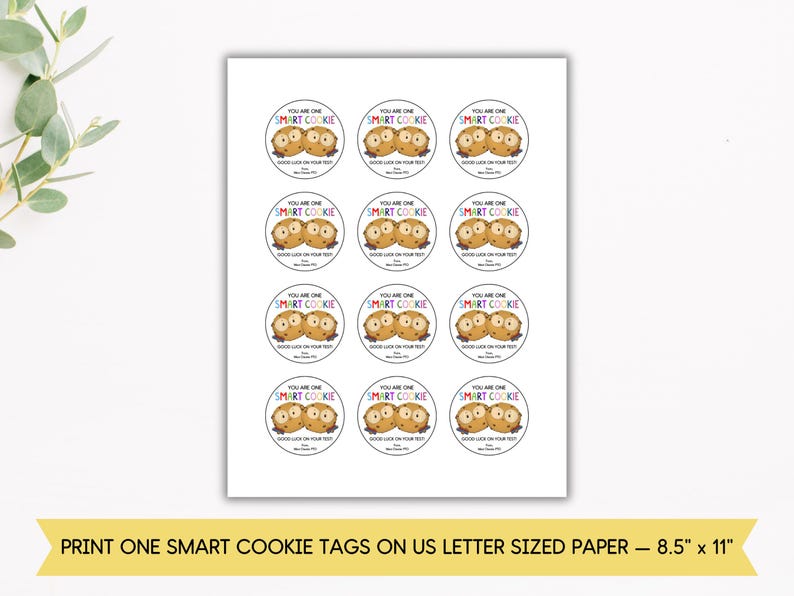 One Smart Cookie Testing Motivation Tag Printable, Editable Testing Day ...