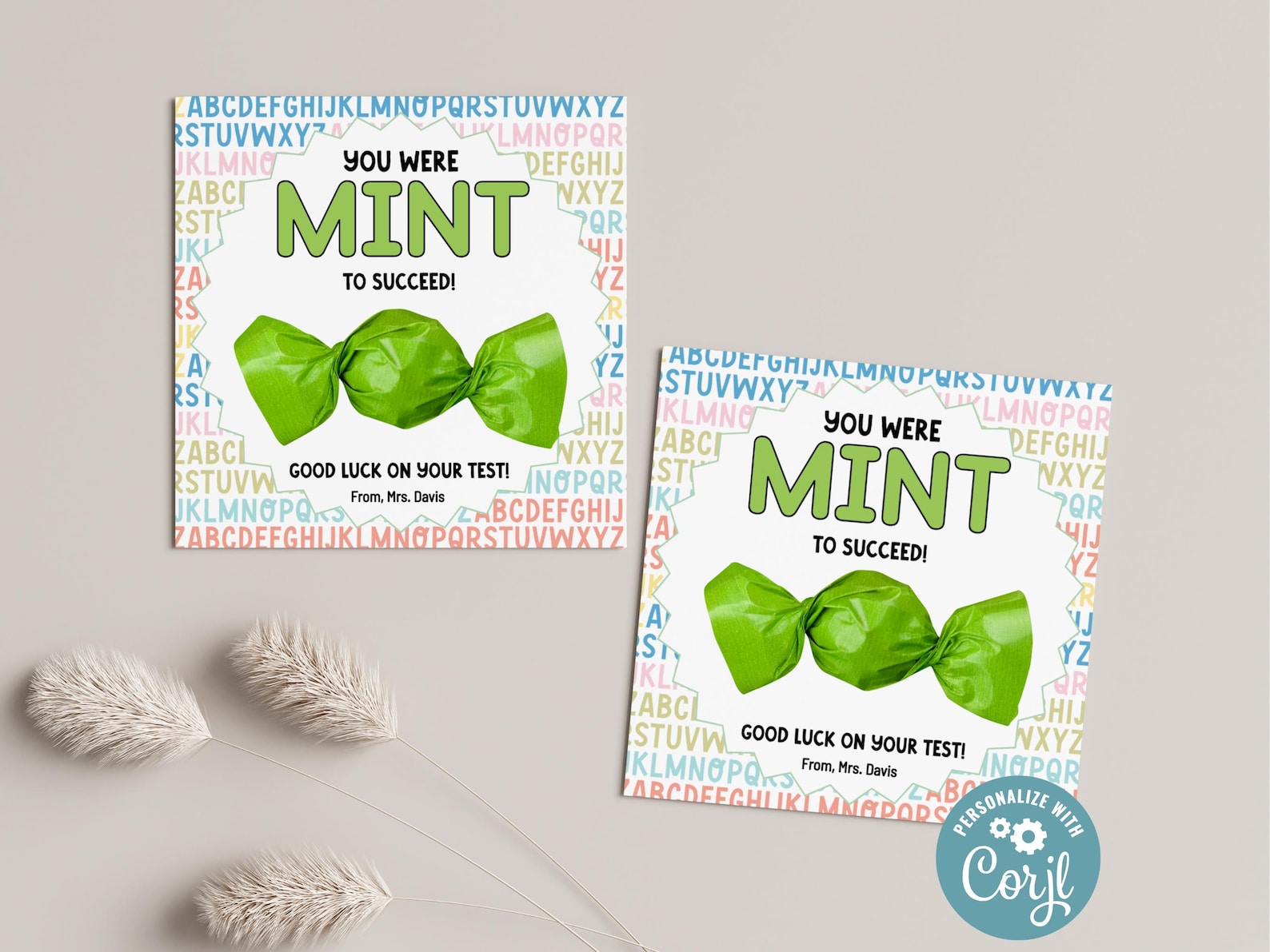You Were Mint to Succeed Testing Motivation Tag Printable, Editable ...