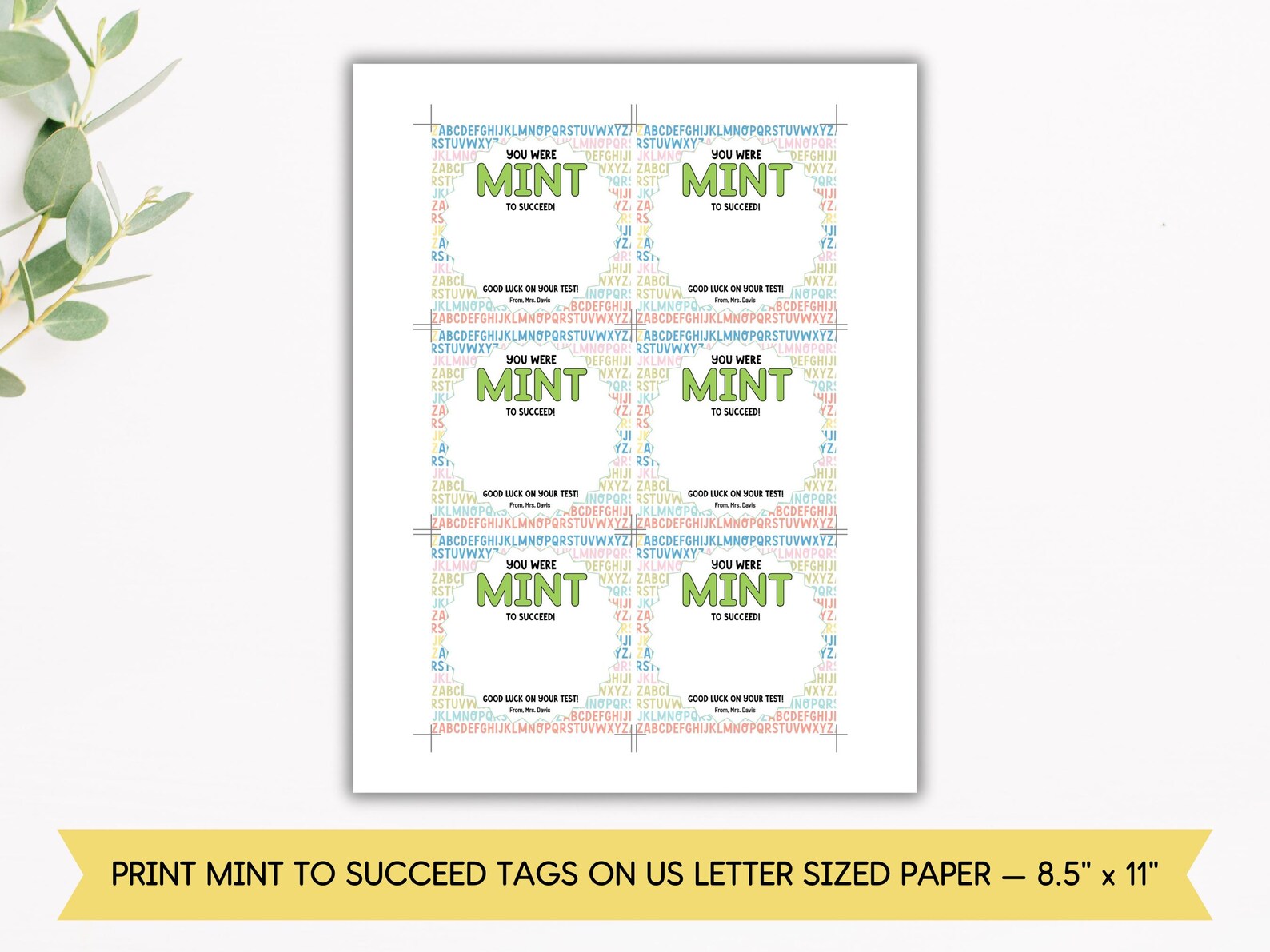 You Were Mint to Succeed Testing Motivation Tag Printable, Editable ...