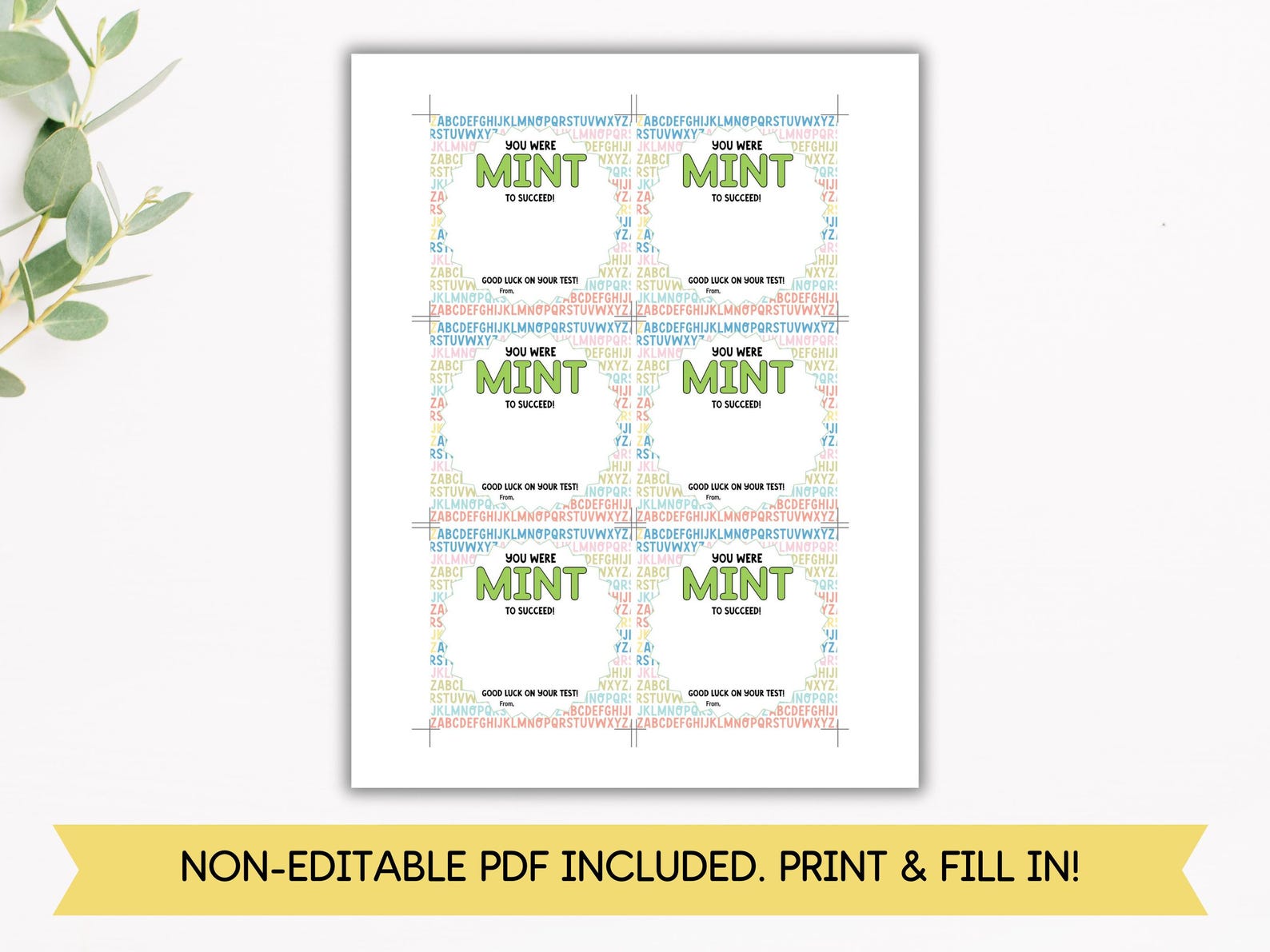 You Were Mint to Succeed Testing Motivation Tag Printable, Editable ...