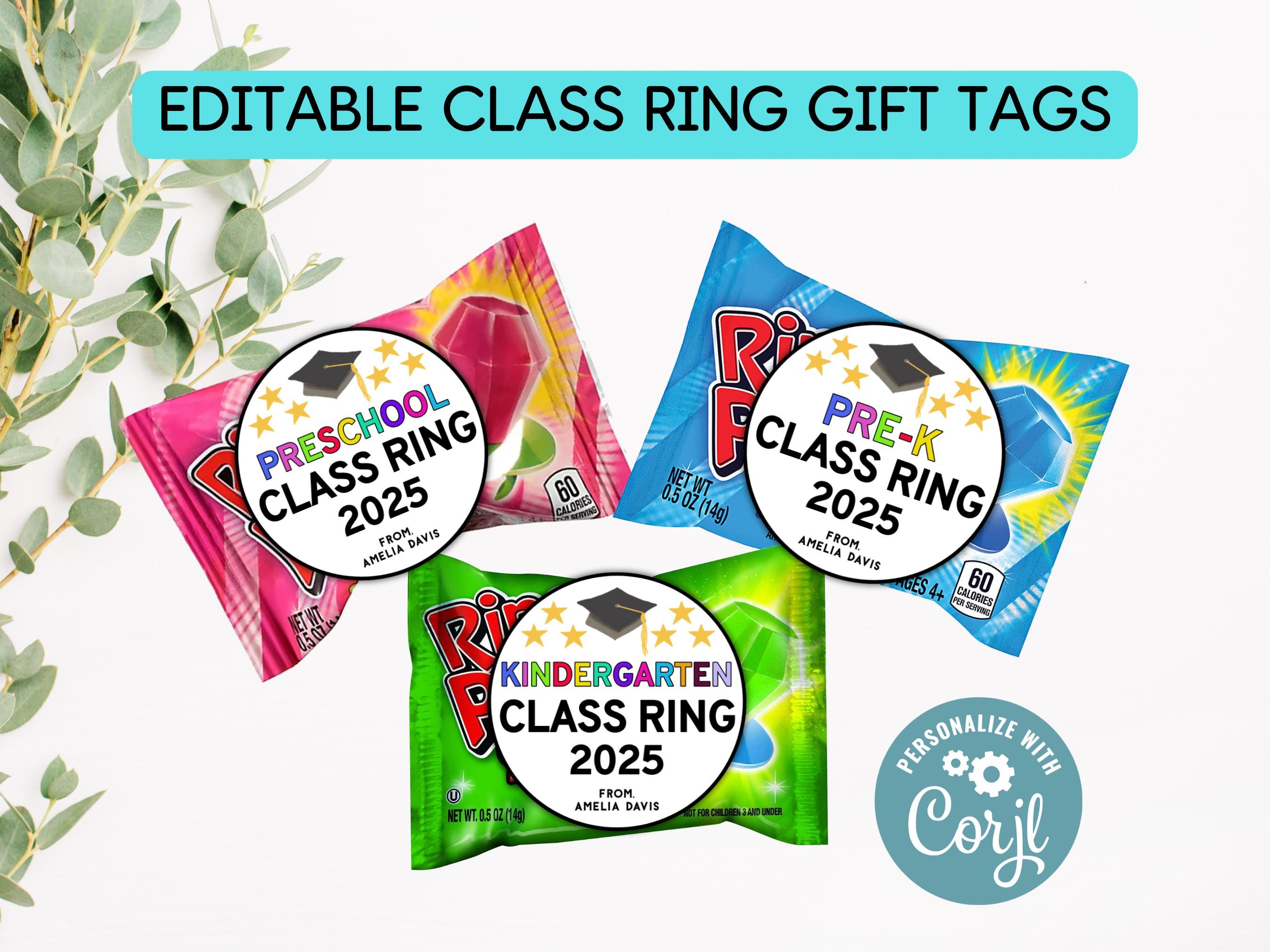 Editable Kindergarten, Preschool, Prek, Middle School Graduation Class ...