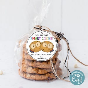 One Smart Cookie Testing Motivation Tag Printable, Editable Testing Day ...