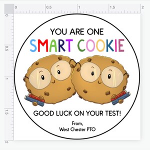 One Smart Cookie Testing Motivation Tag Printable, Editable Testing Day ...