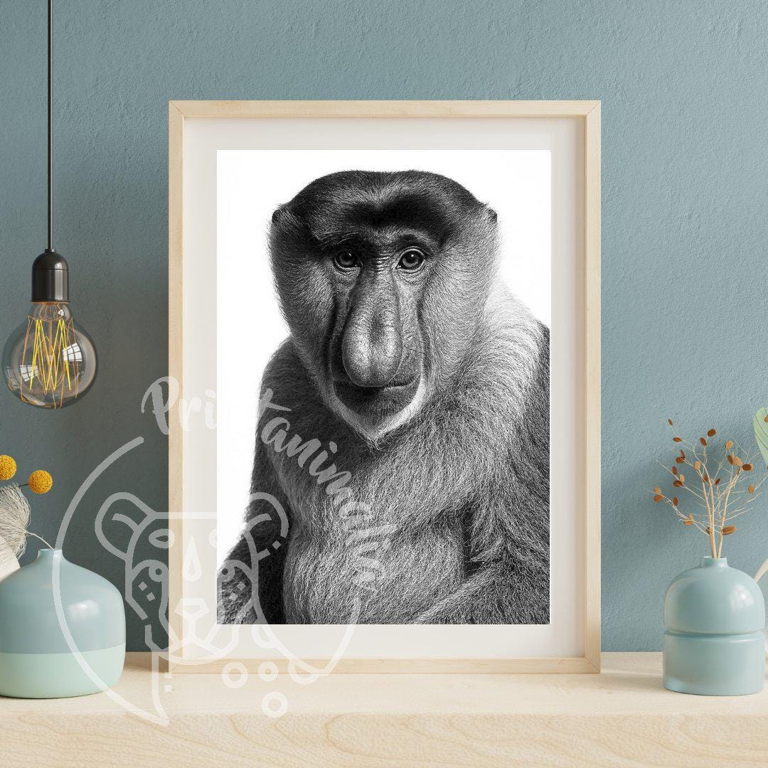 Proboscis Monkey Wall Art Printable | Black and White Wildlife ...