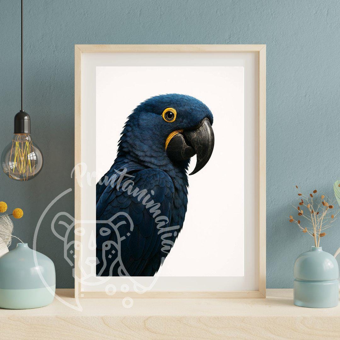 Hyacinth Macaw Art Print, Cobalt Blue Parrot Poster, 300 DPI Digital ...