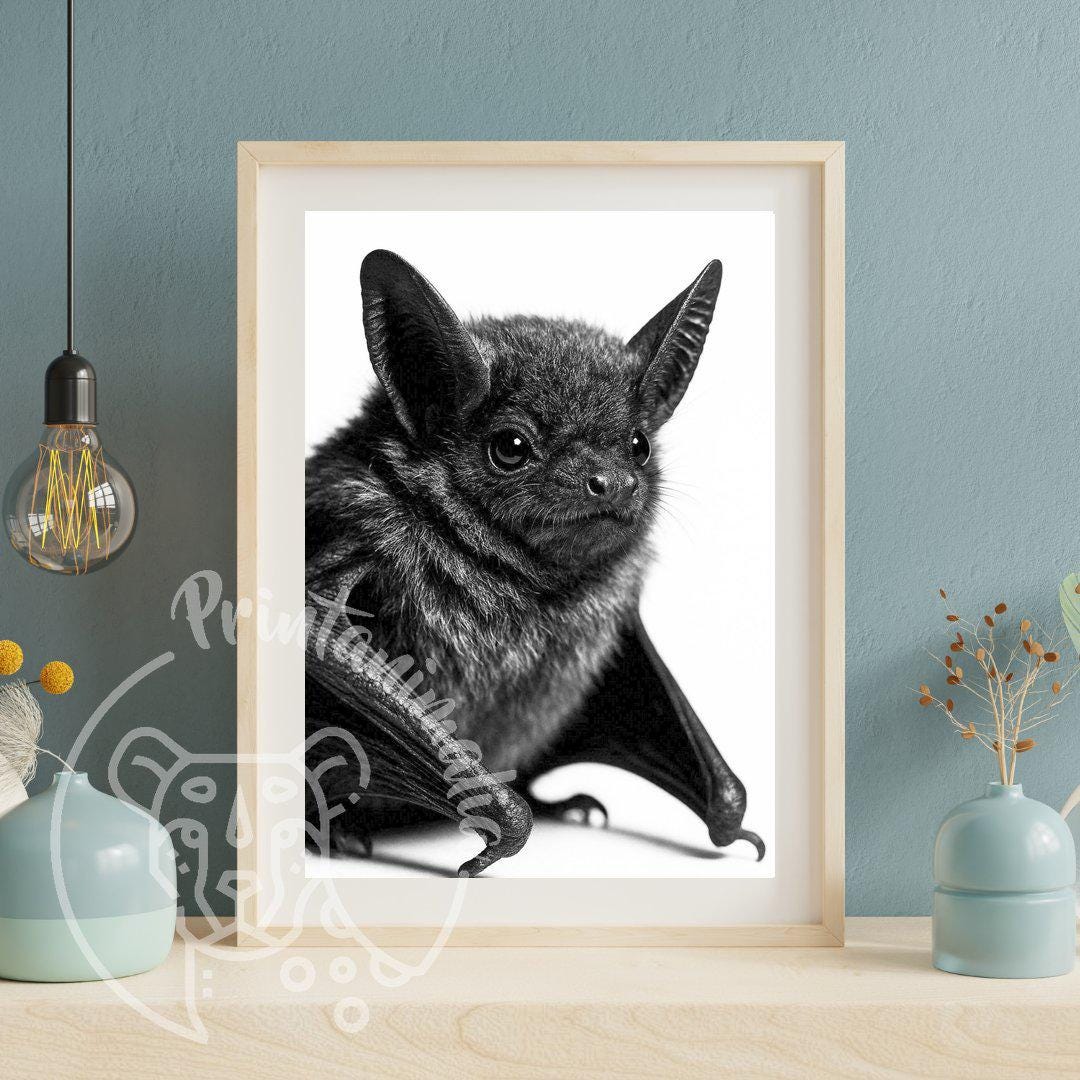 Little Brown Bat Portrait | Black and White Portrait Wall Art | High ...