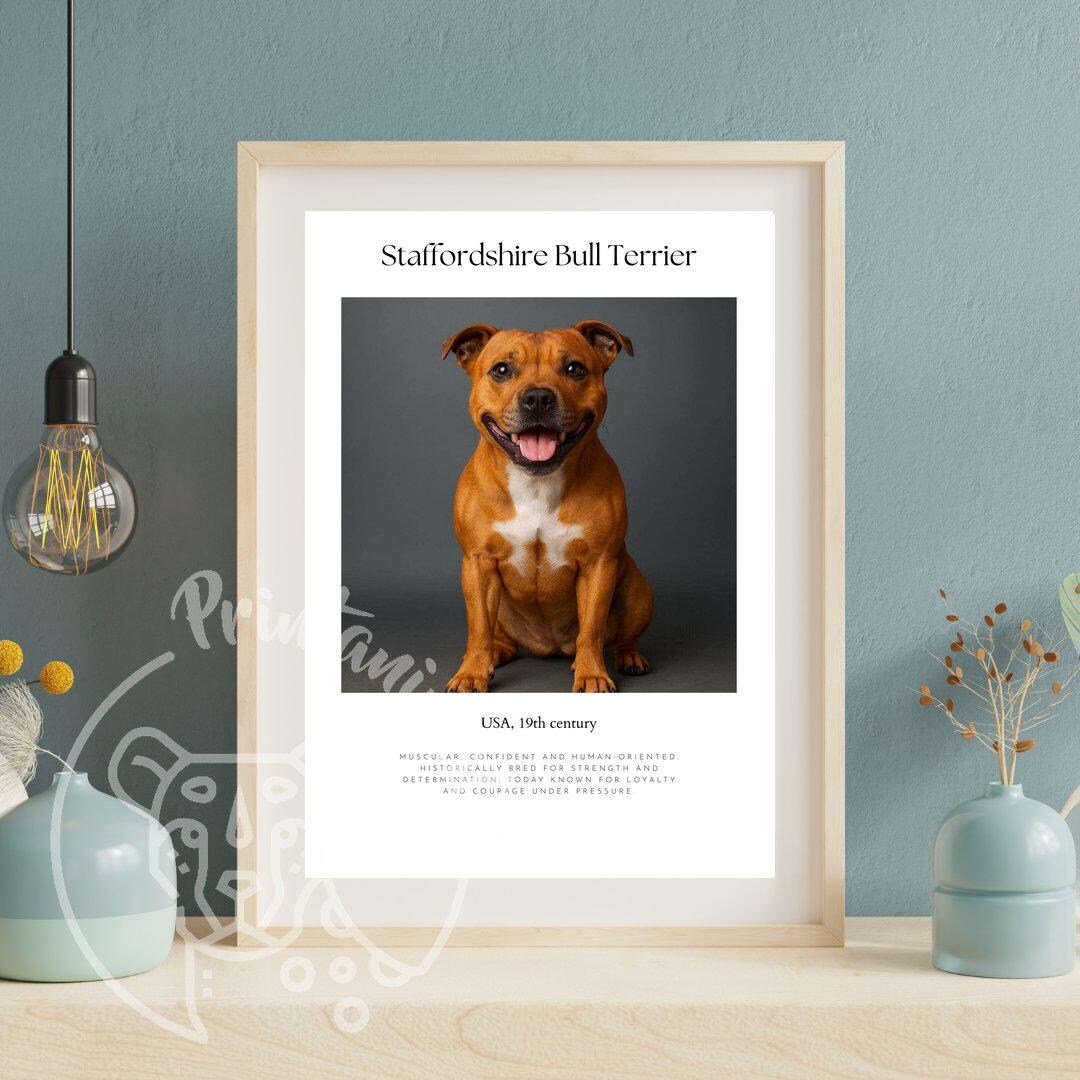 Staffordshire Bull Terrier Art, Staffy Dog Wall Decor, 300 DPI Digital ...
